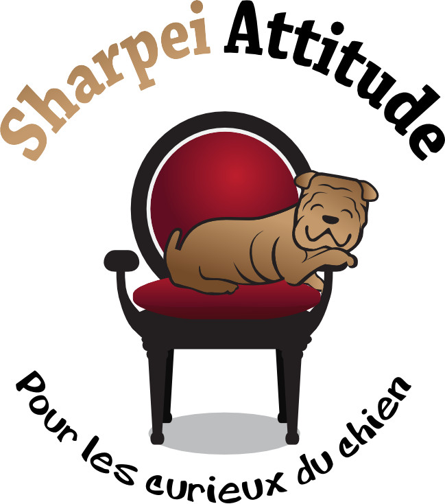 Défi gratuit – 7 jours pour décrypter le comportement de votre chien ...